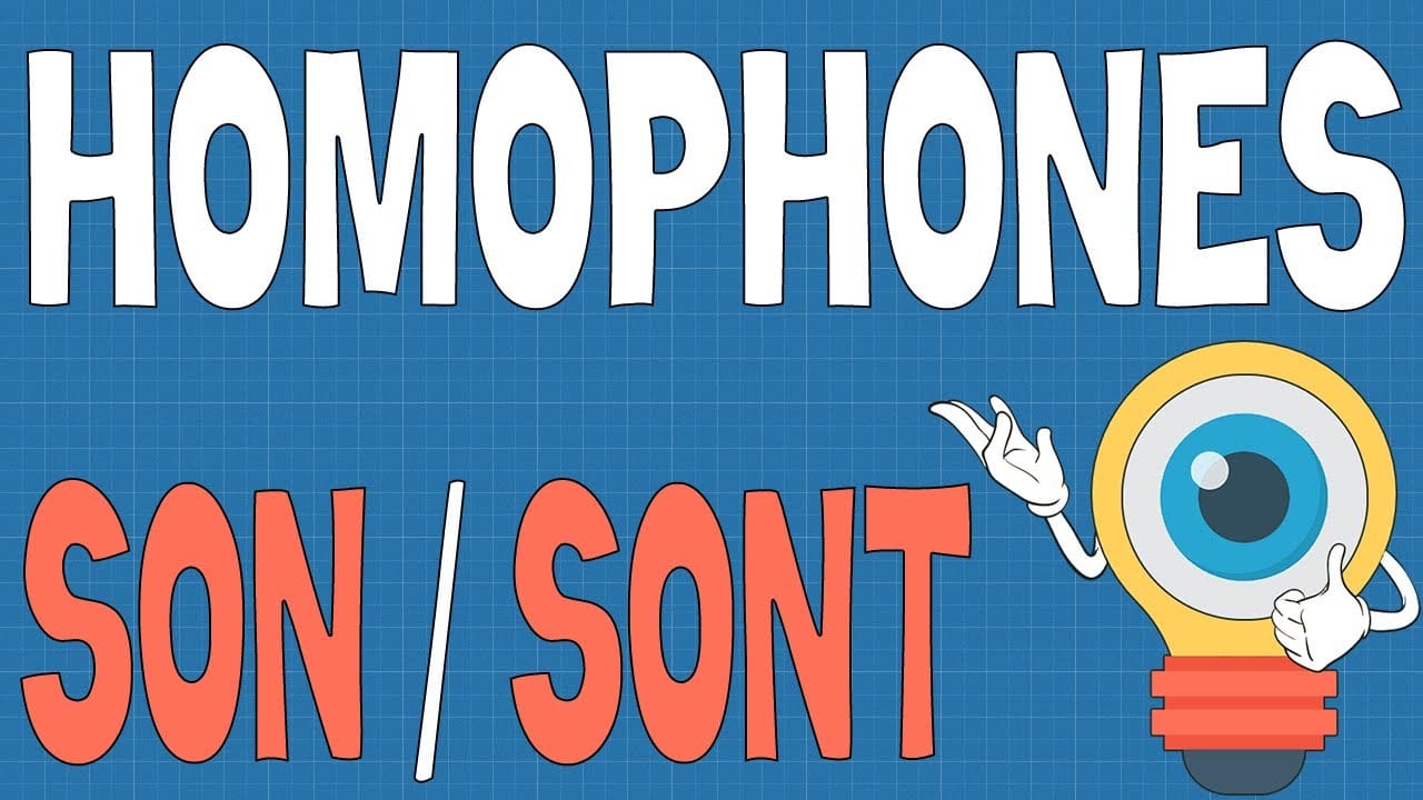 Homophones SON et SONT - Leçon et Exercices - VideoTutoriels