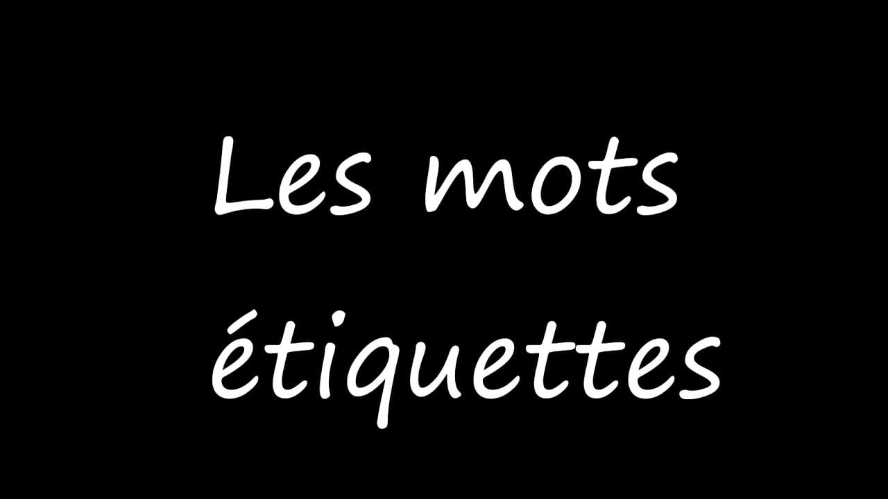 Les mots étiquettes leçon - VideoTutoriels