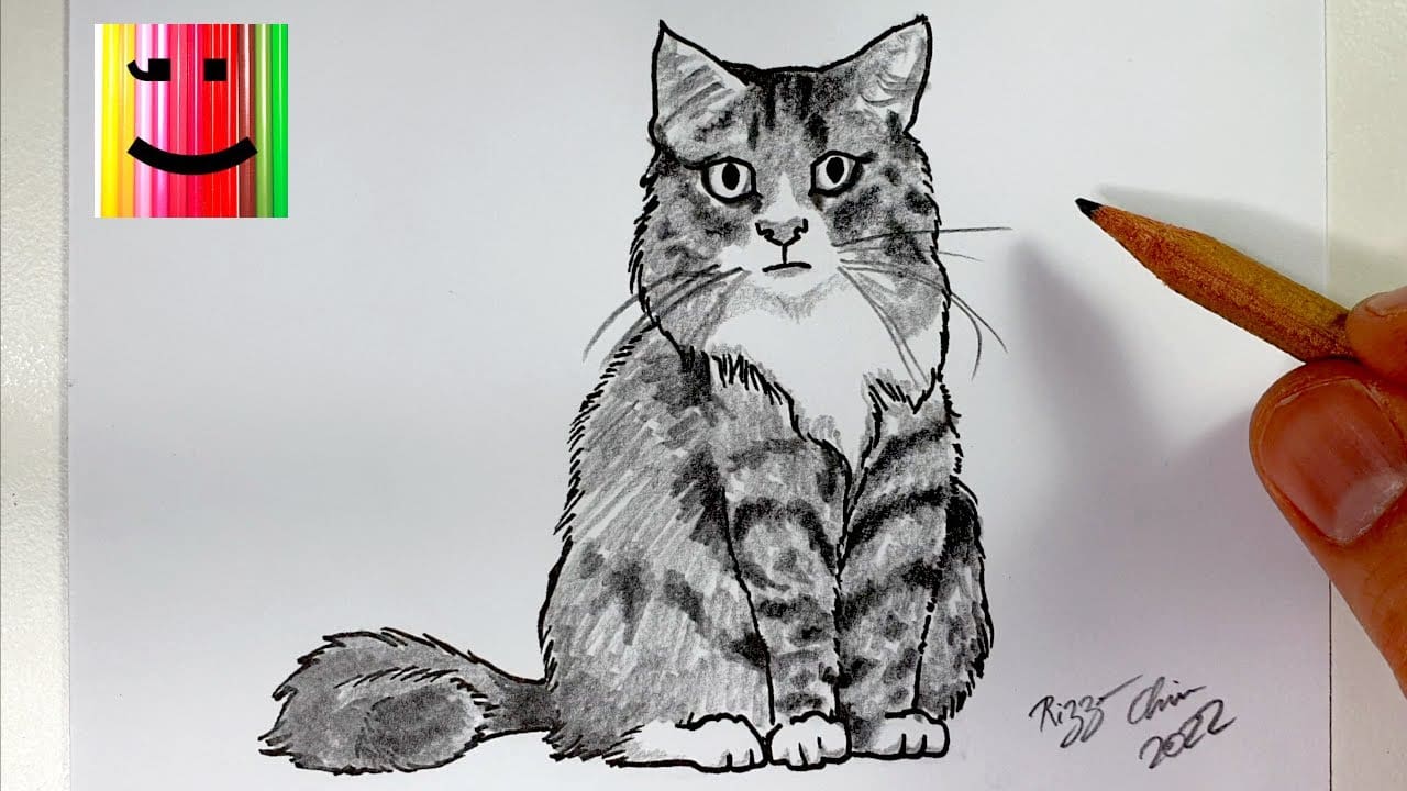 Dessin De Chat Au Crayon | Chtoby Pomnili