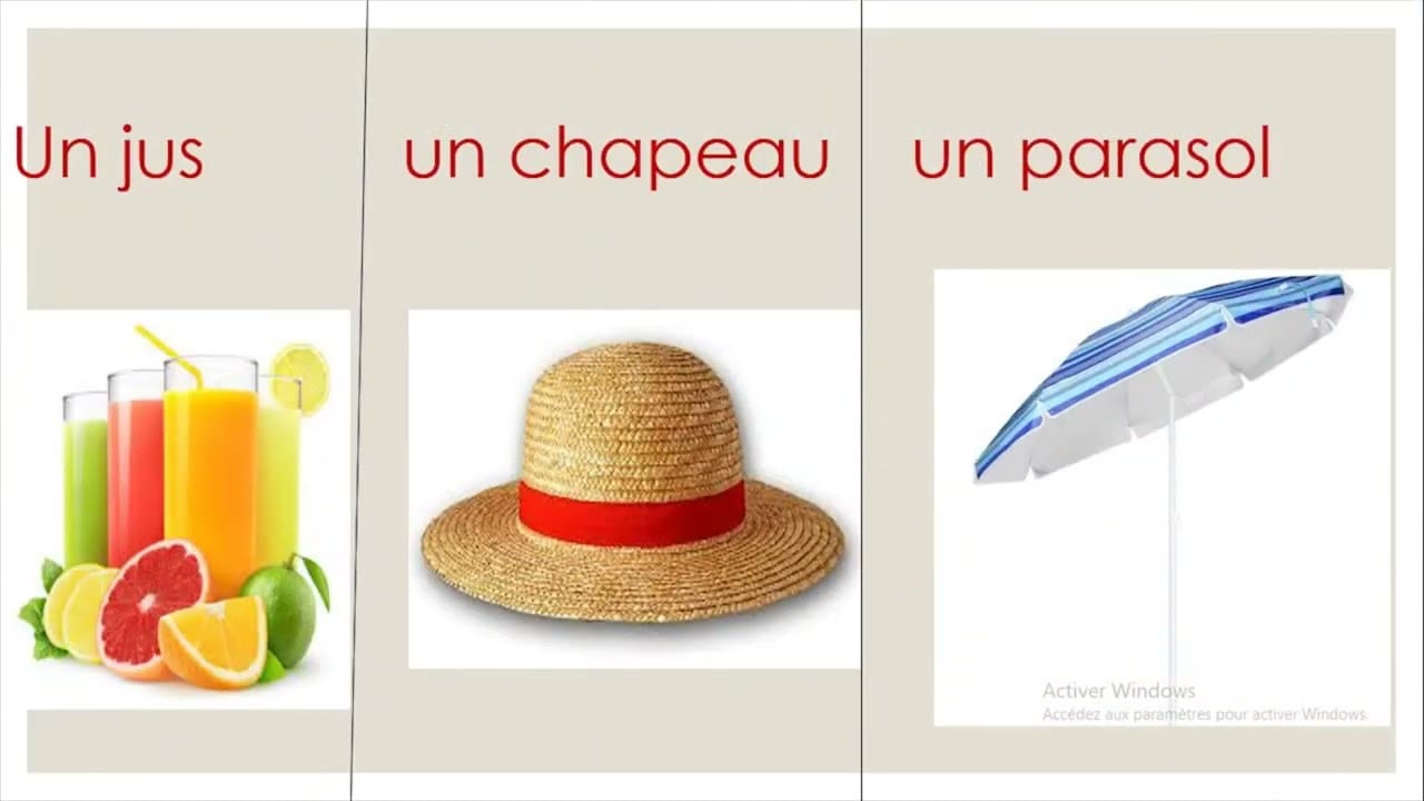 leçon 2 : le vocabulaire de l'été تعلم اللغة الفرنسية الدرس الثاني ...