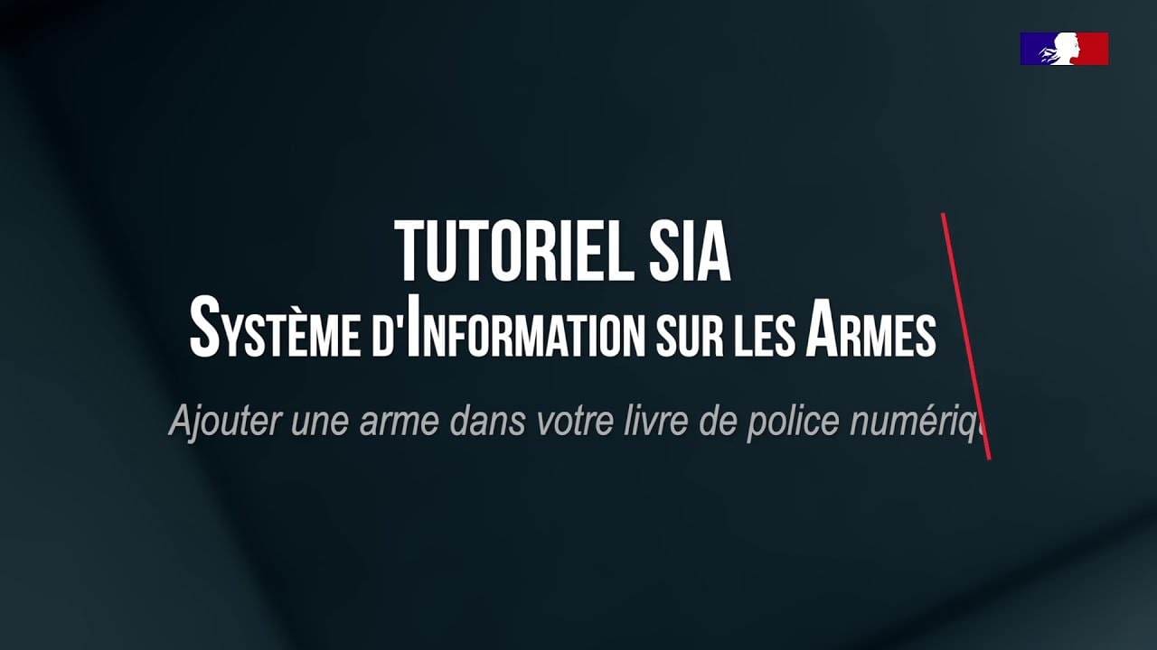 Tutoriel SIA - Portail professionnels : Ajouter une arme dans mon livre ...